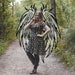 Epic Feathered Fantasy Style Wings Templates Collection by Pretzl ...