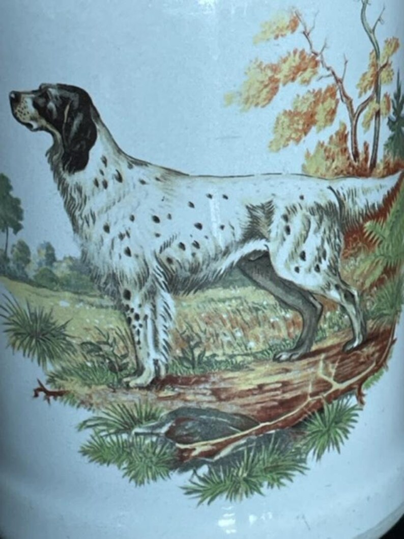Pair Mccoy English Setter & Pointer Dog , Bird Dog , Gun Dog , Hunting ...