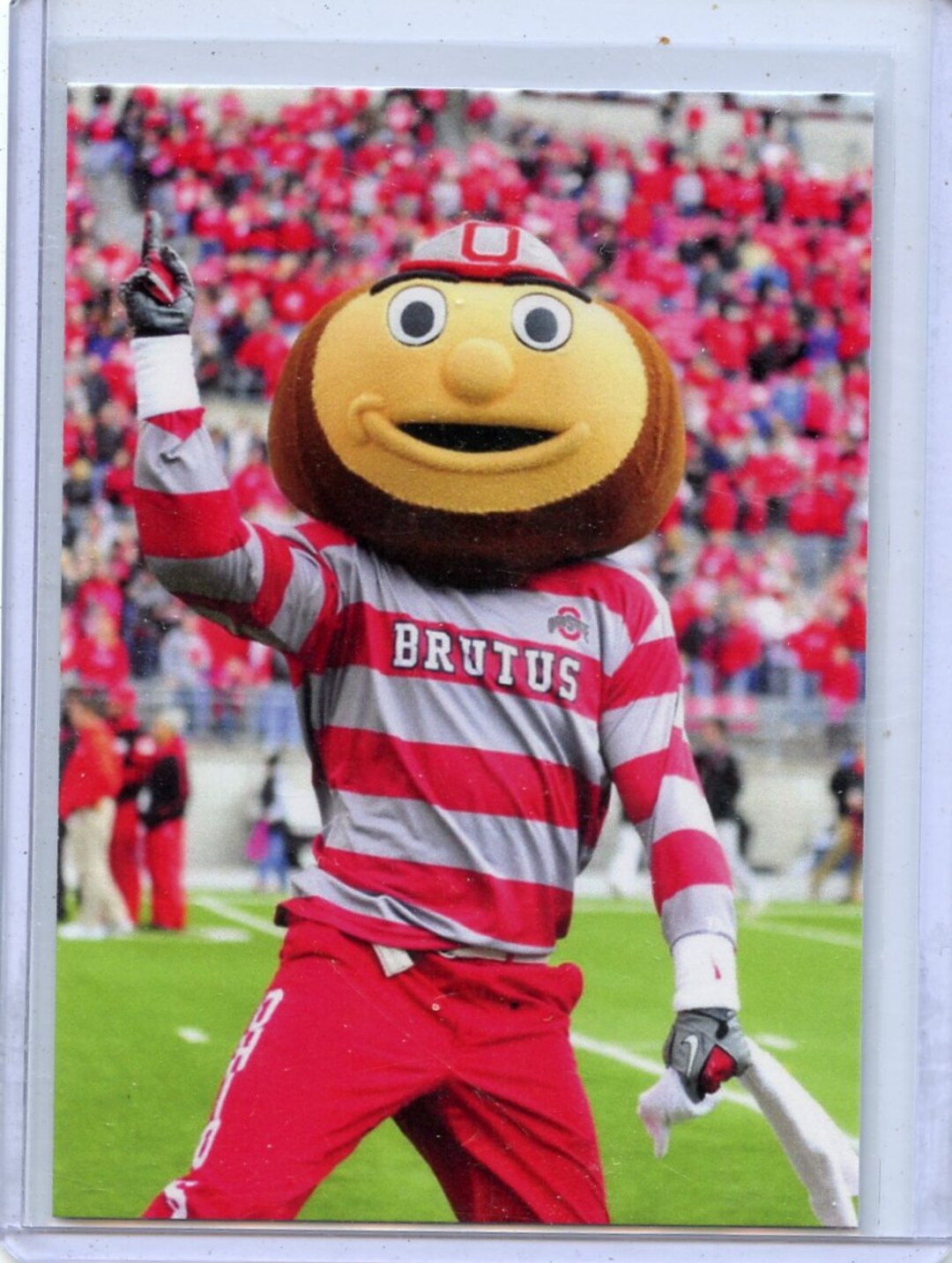 Brutus Buckeye Ohio State Buckeyes Football Card - Etsy