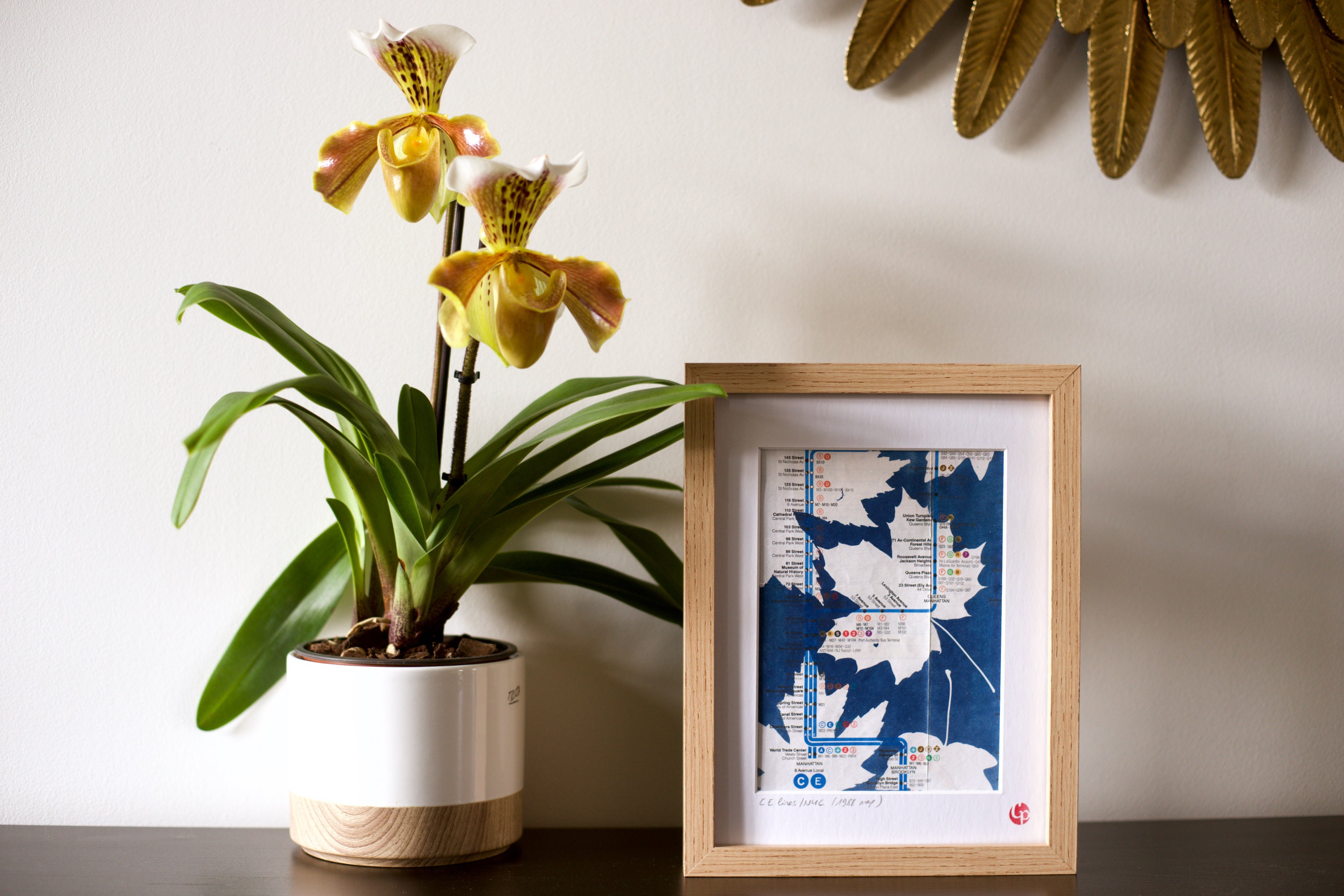 Botanical Cyanotype on NYC Subway Map - Etsy