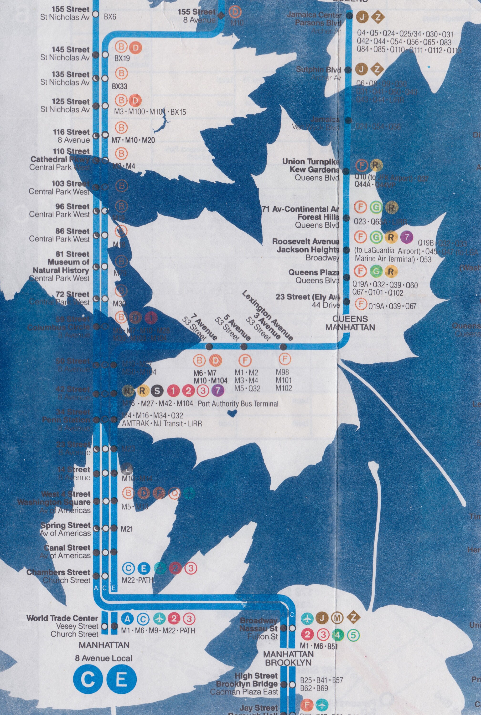 Botanical Cyanotype on NYC Subway Map - Etsy