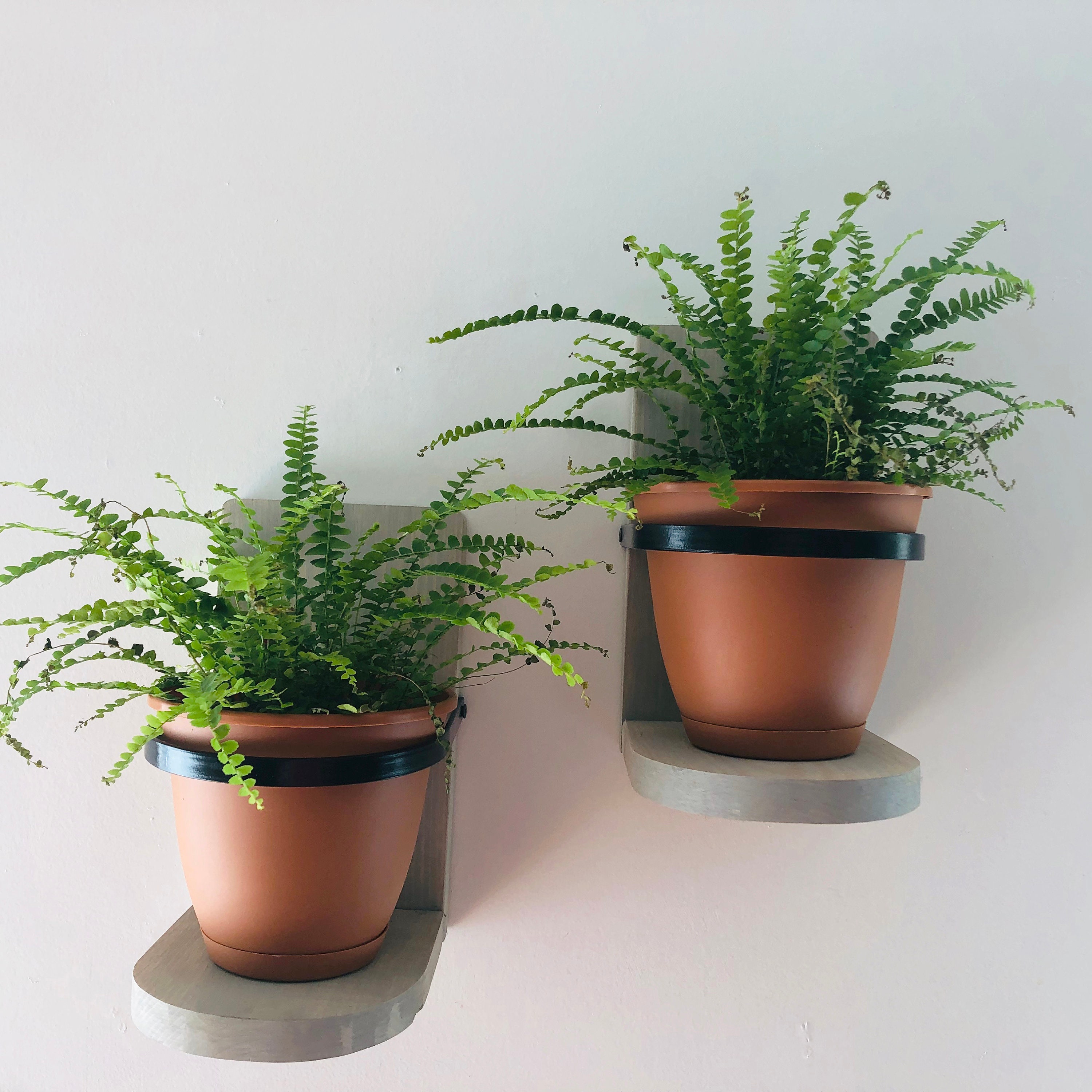 Floating Wall Planter for sale | Only 4 left at -60%