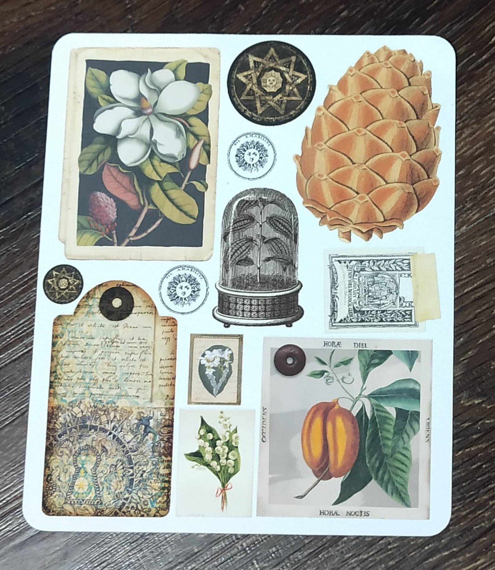 Botanical Alchemy Sticker Set. Alchemy Stickers. Free Shipping - Etsy