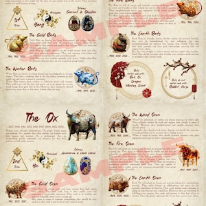 CHINESE ZODIAC Signs Astrology Instant Digital Download Printable Pages ...