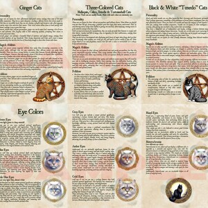 CATS in MAGICK Personalities and Magickal Talents Instant Digital ...