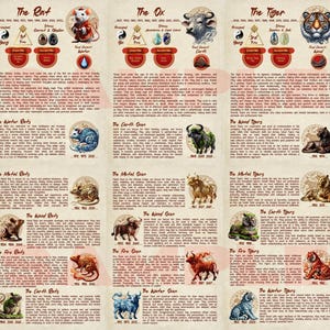 CHINESE ZODIAC Signs | Astrology | Instant Digital Download Printable ...