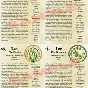 CELTIC Birth Trees - the Druid Zodiac | Instant Digital Download ...