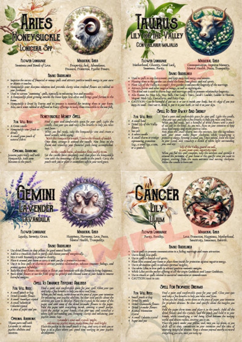 The MAGICK of ZODIAC FLOWERS | Instant Digital Download Printable Book ...