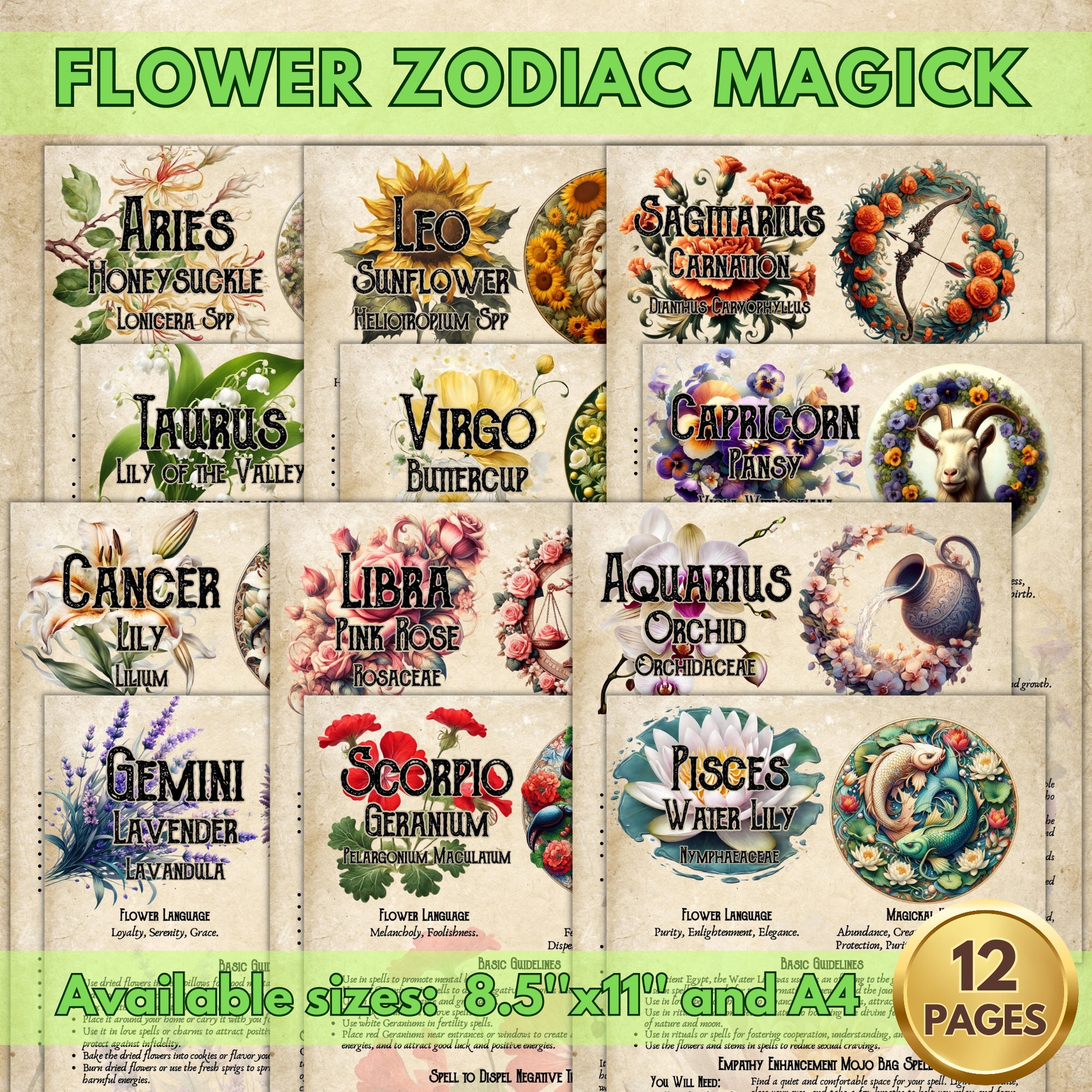 ZODIAC FLOWER MAGICK Instant Digital Download Printable Book of Shadows ...