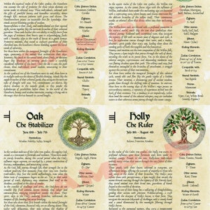CELTIC Birth Trees - the Druid Zodiac | Instant Digital Download ...