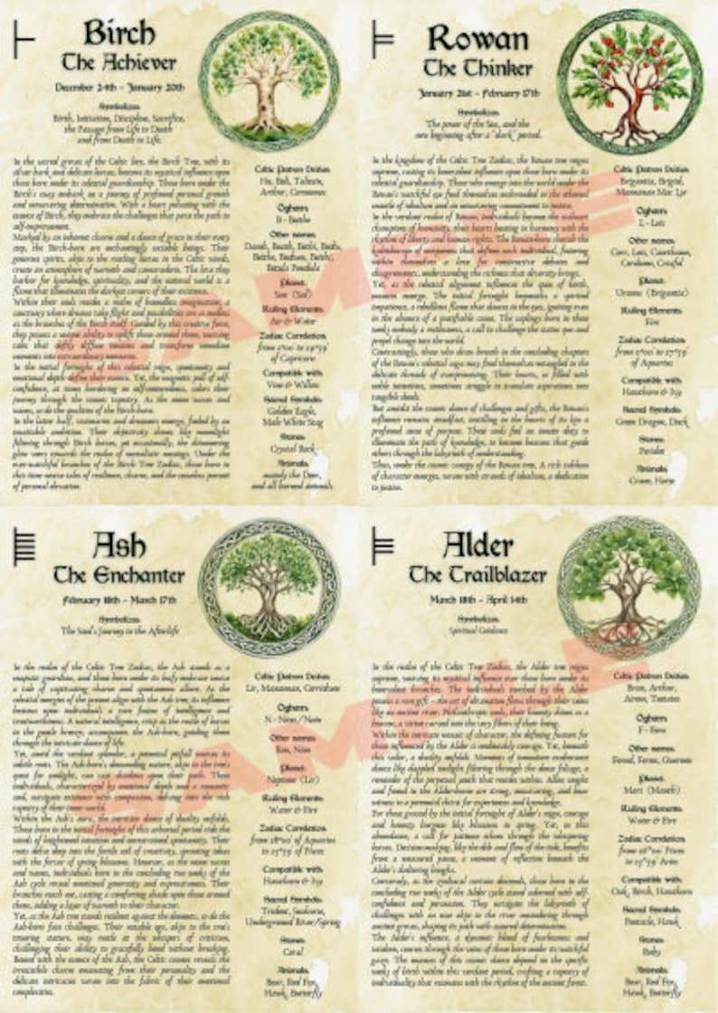 CELTIC Birth Trees - the Druid Zodiac | Instant Digital Download ...