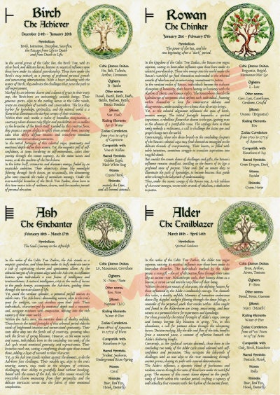 CELTIC Birth Trees the Druid Zodiac Instant Digital Download Printable ...