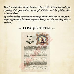 CATS in MAGICK Personalities and Magickal Talents Instant Digital ...