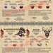 Native American Birth Totem Animals Instant Digital Download - Etsy