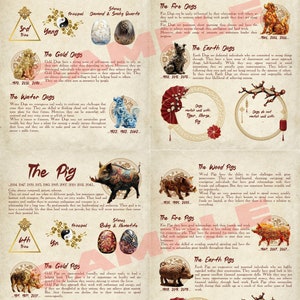 CHINESE ZODIAC Signs Astrology Instant Digital Download Printable Pages ...