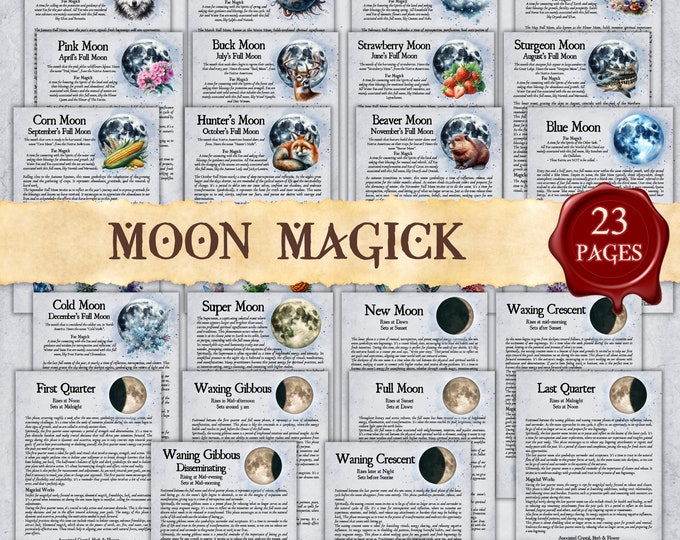 MOON MAGICK Book of Shadows A Course in Witchcraft Grimoire Journal ...