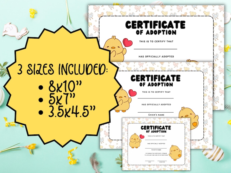 Adoption Certificate for Amigurumi Chick Plushies | Easter Classroom ...