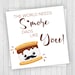 Printable the World Needs Smore Dads Like You Tags, Father's Day Cookie ...