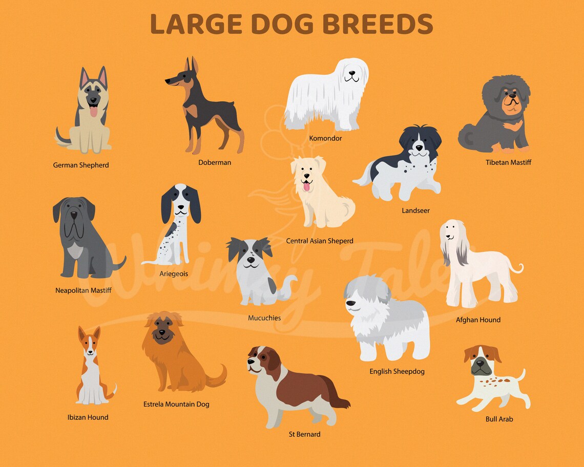 66 Cute Vector Dogs Bundle SVG, Playful Dog Breeds, Funny Dogs Clipart ...