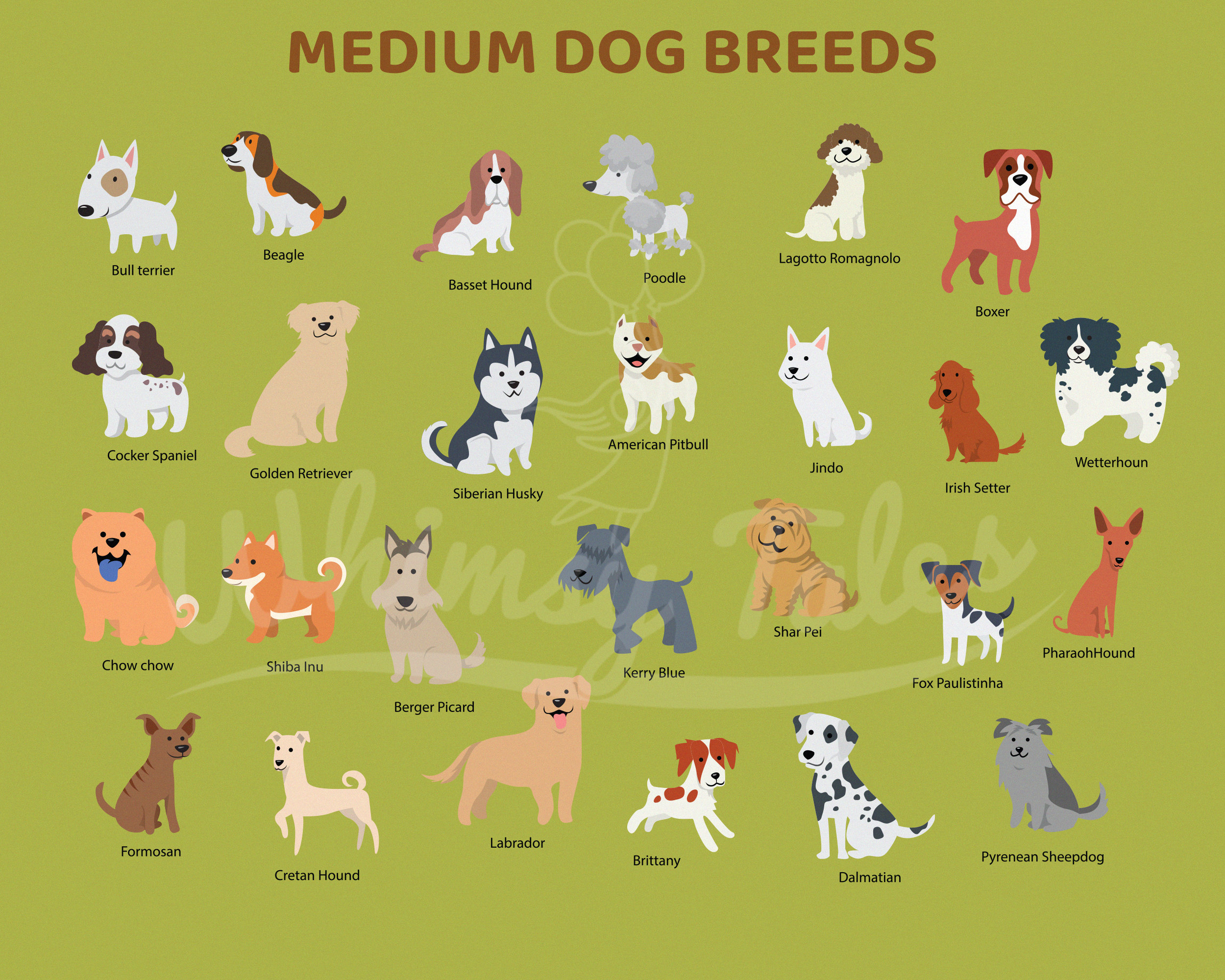 66 Cute Vector Dogs Bundle SVG, Playful Dog Breeds, Funny Dogs Clipart ...