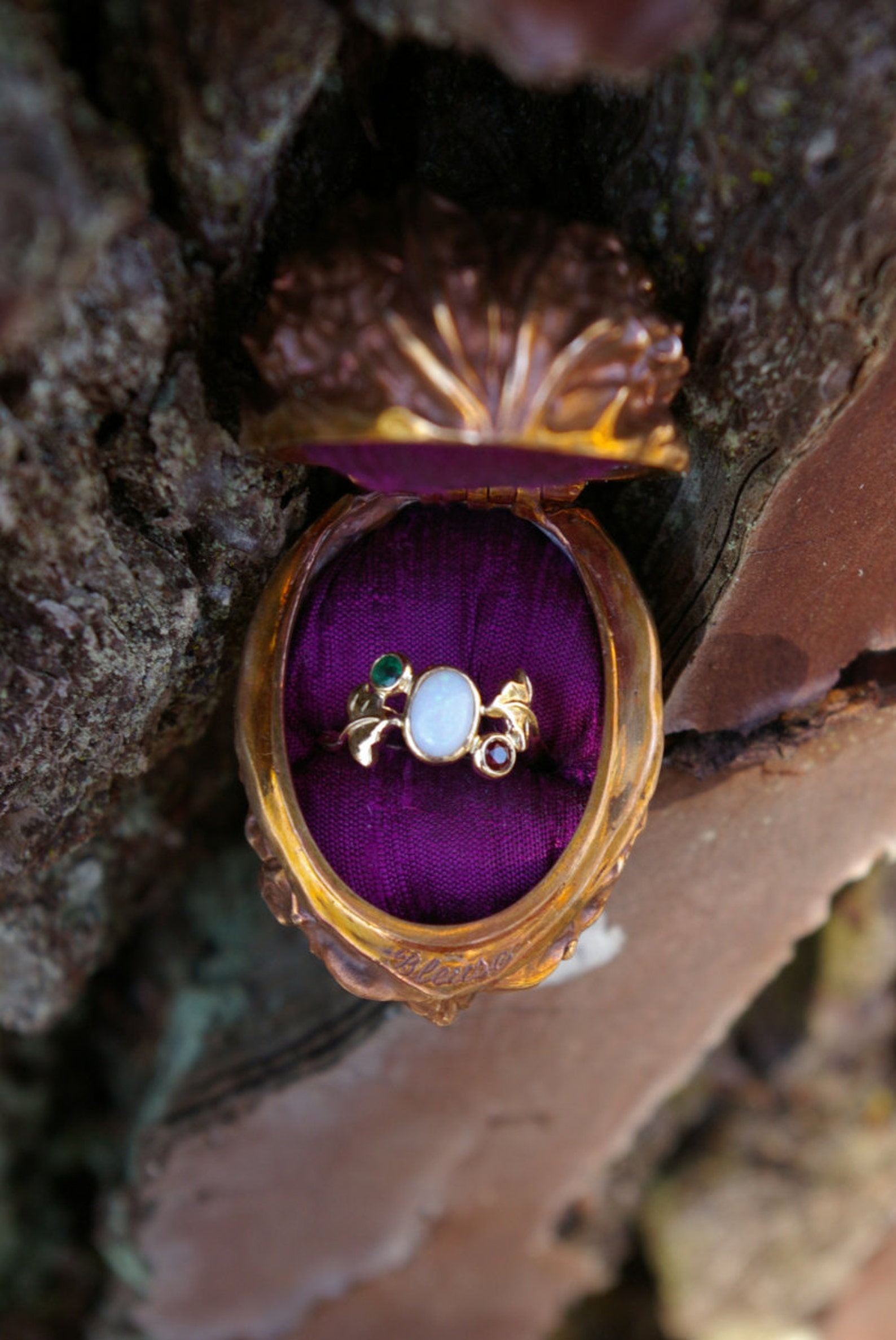 Nuts, Ring Setting in Bronze, Bronze Window Object, Jewel, Jewelry Box ...