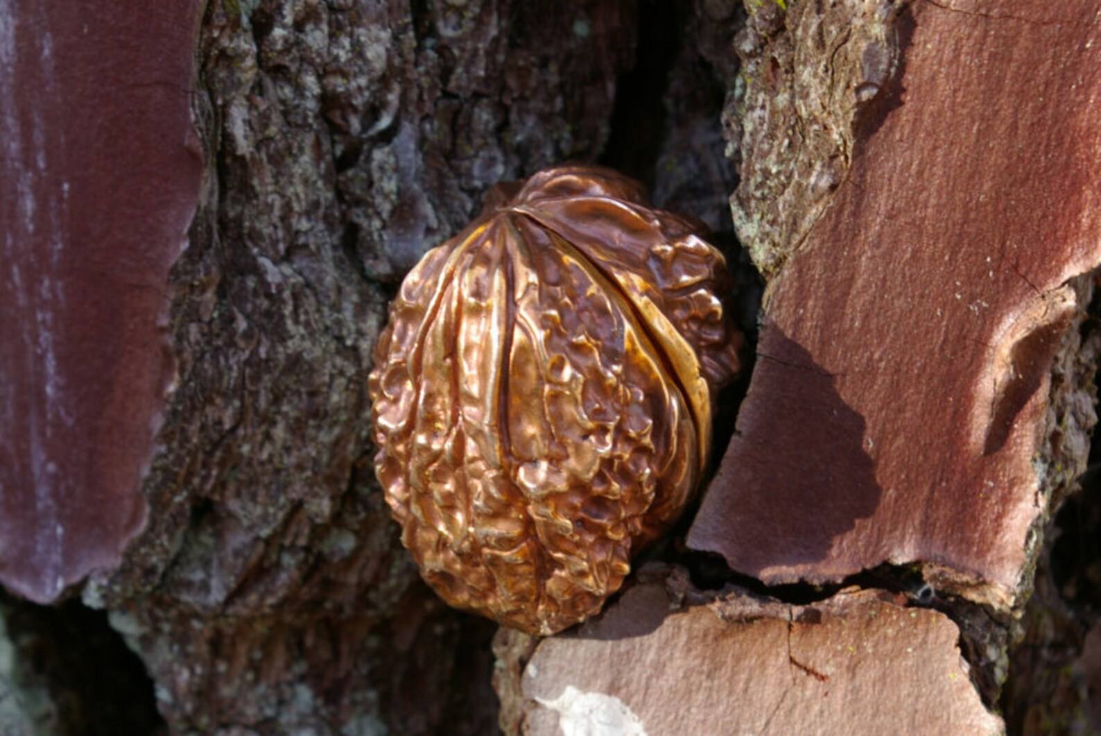 Nuts, Ring Setting in Bronze, Bronze Window Object, Jewel, Jewelry Box ...