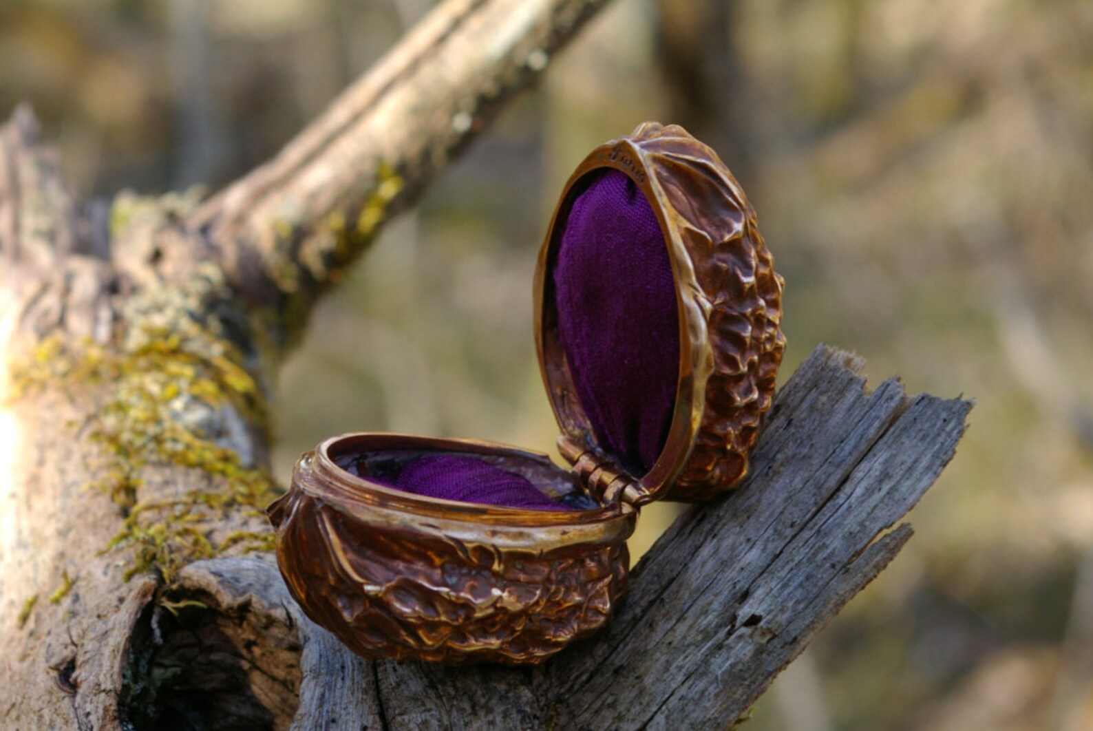 Nuts, Ring Setting in Bronze, Bronze Window Object, Jewel, Jewelry Box ...