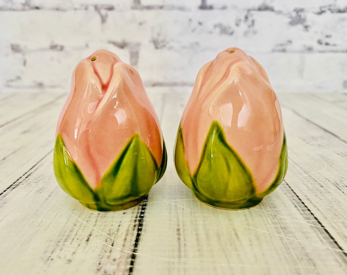 Franciscan Desert Rose Pattern Salt and Pepper Shaker Set, Pretty Small ...