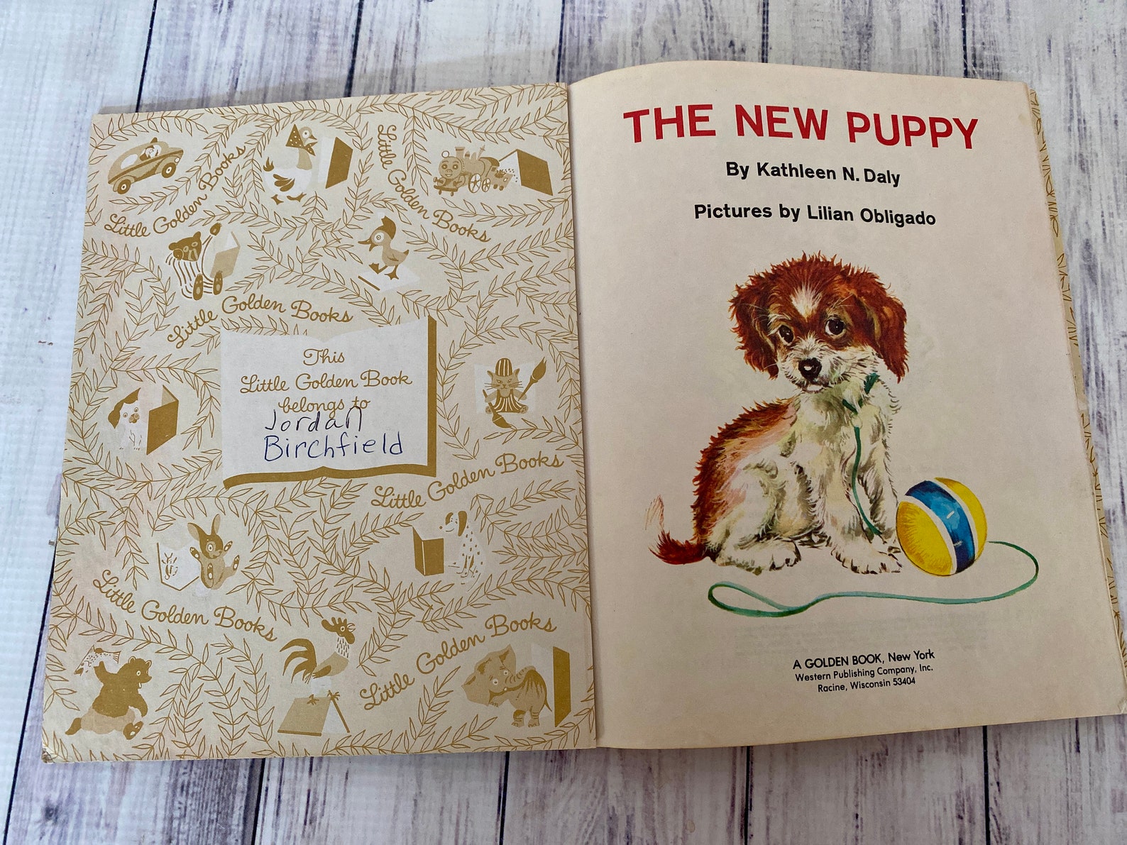 Vintage Childs Book the New Puppy Little Golden Books First - Etsy