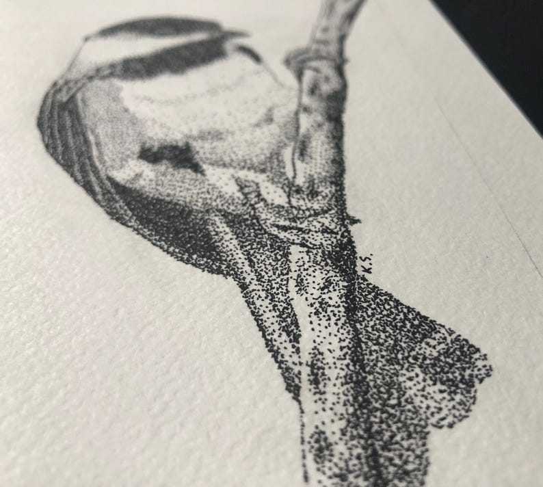 Mr. Chickadee Art Print - Etsy