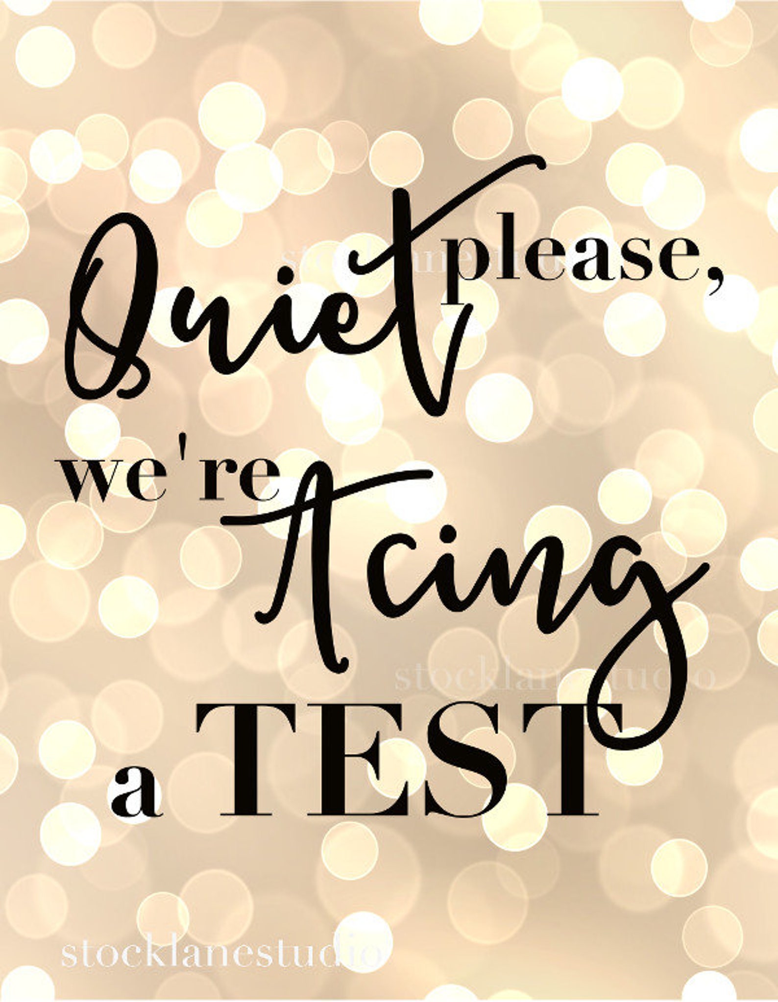 Printable Teacher or Homeschool Door Sign Quiet Please | Etsy