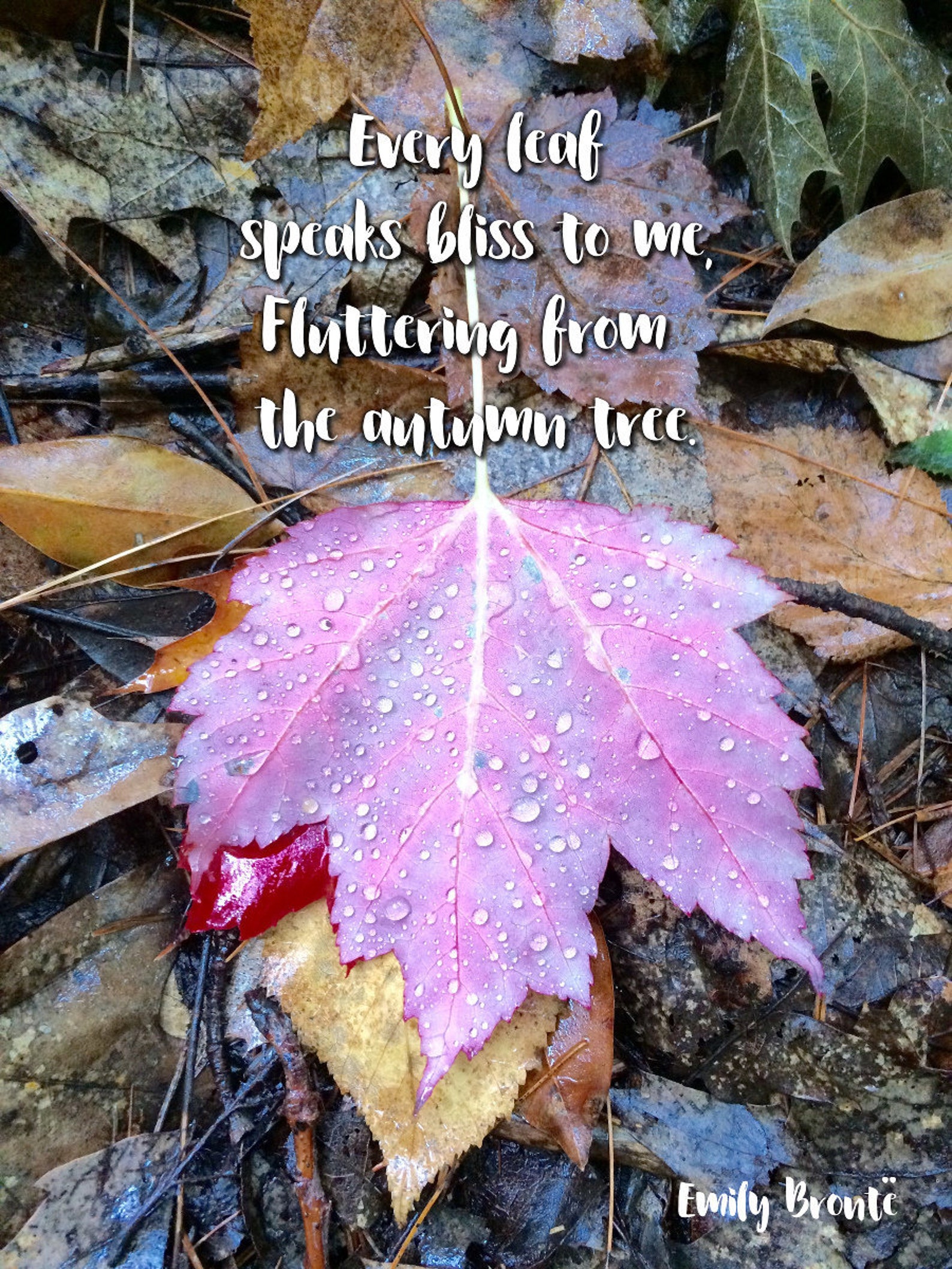 Cottagecore Decor Printable Literary Quote Every Leaf is a | Etsy