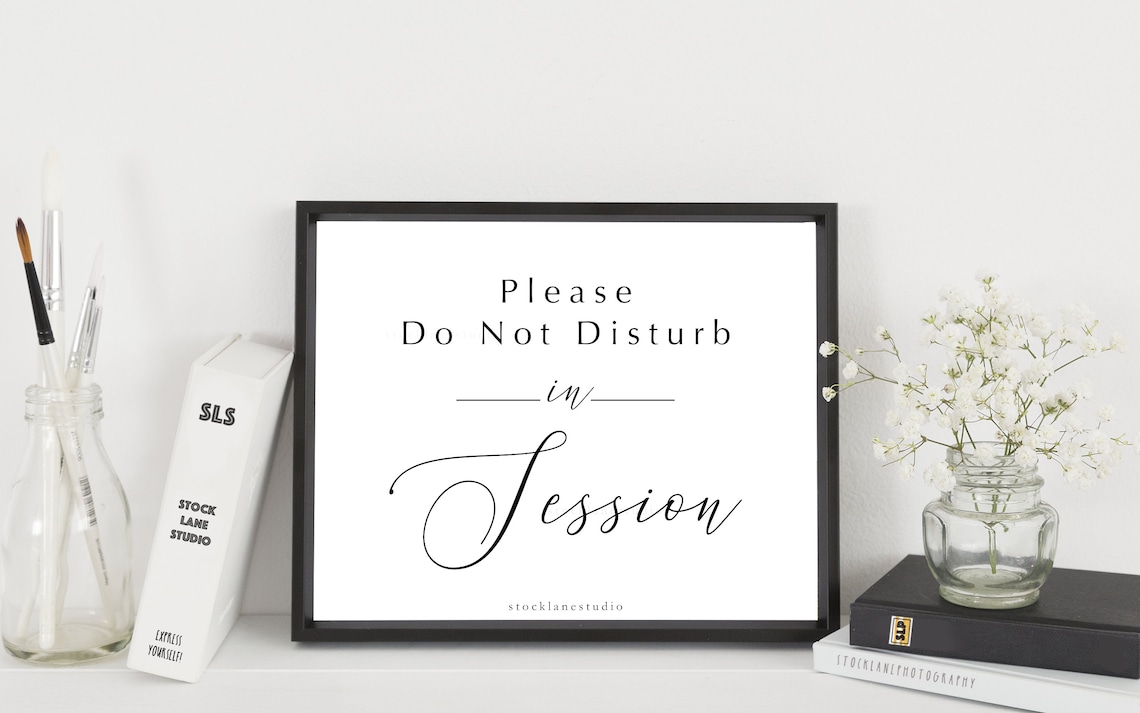 Do Not Disturb In Session Sign