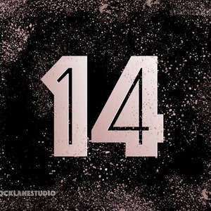 Printable Birthday Decorations 14th Birthday Party Sign Digital ...