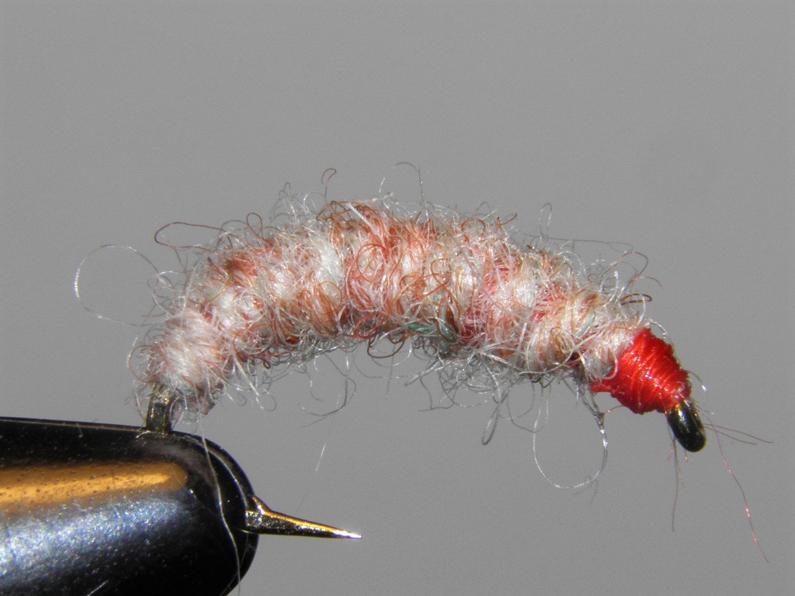 Utah Killer Bug - Etsy