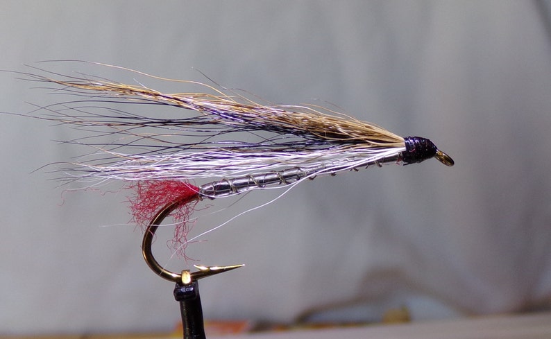 Black Nose Dace, Set of Three, Fishing Flies - Etsy