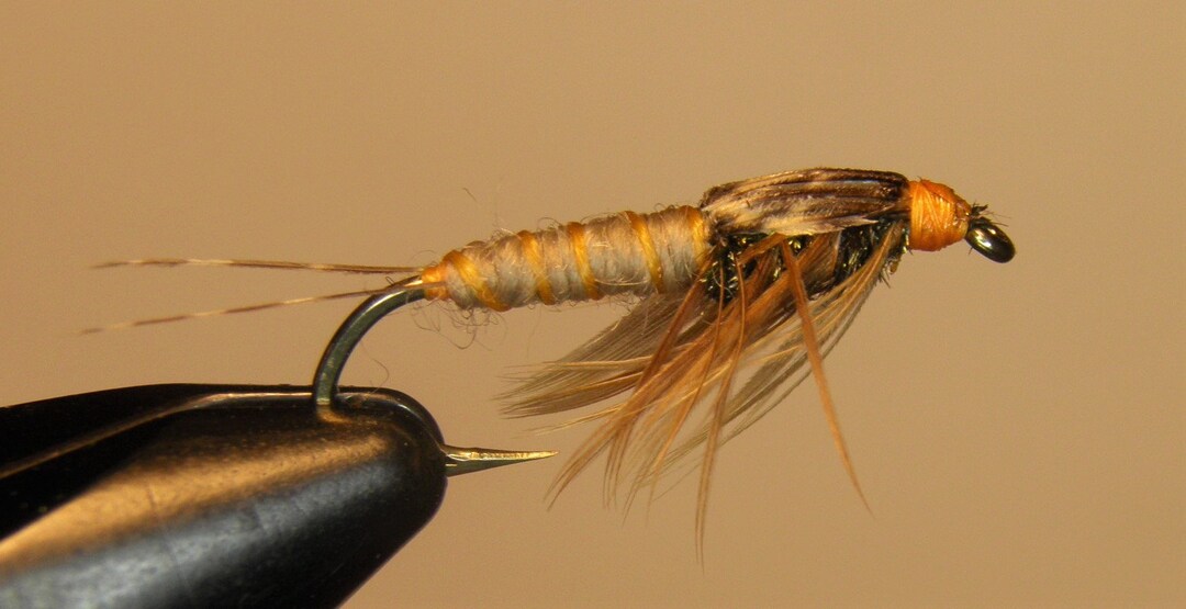 Bird's Stone Fly Nymph - Etsy