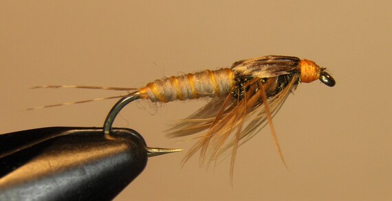 Bird's Stone Fly Nymph | Etsy