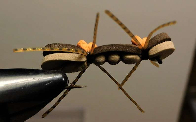 Chernobyl Ant, Dark Brown/tan - Etsy