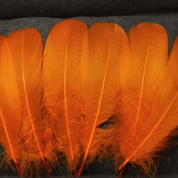 Shoulder Feathers - Etsy