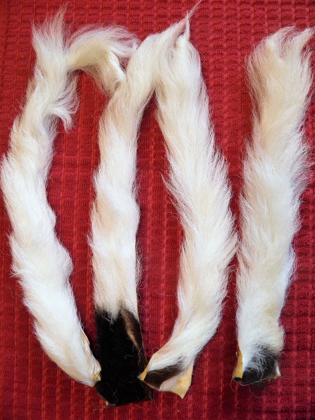 Extra Large Calf Tails, White - Etsy