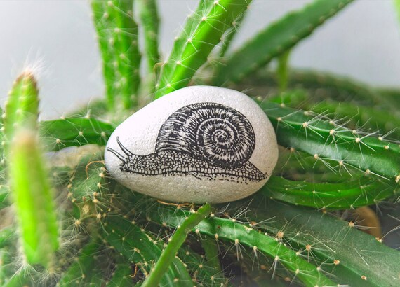 Items similar to Snail - Snail Art - Stone Decor - Snail Gift - Wedding ...
