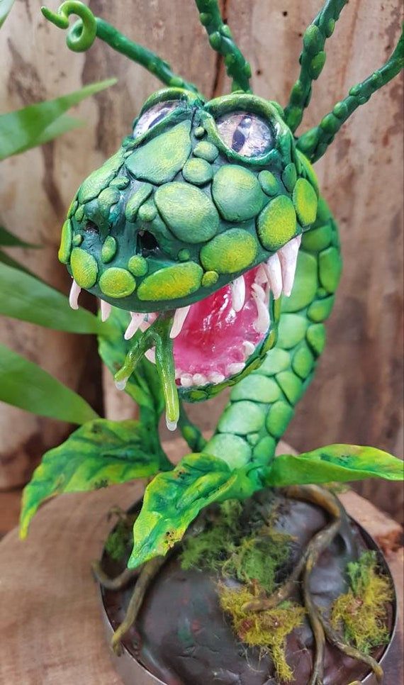 Venus Flytrap Eating A Snake