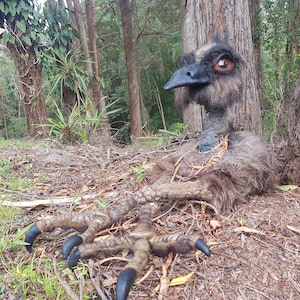 Ned the Cranky Australian Emu. Ooak Handmade Posable Art Doll. Gothic ...