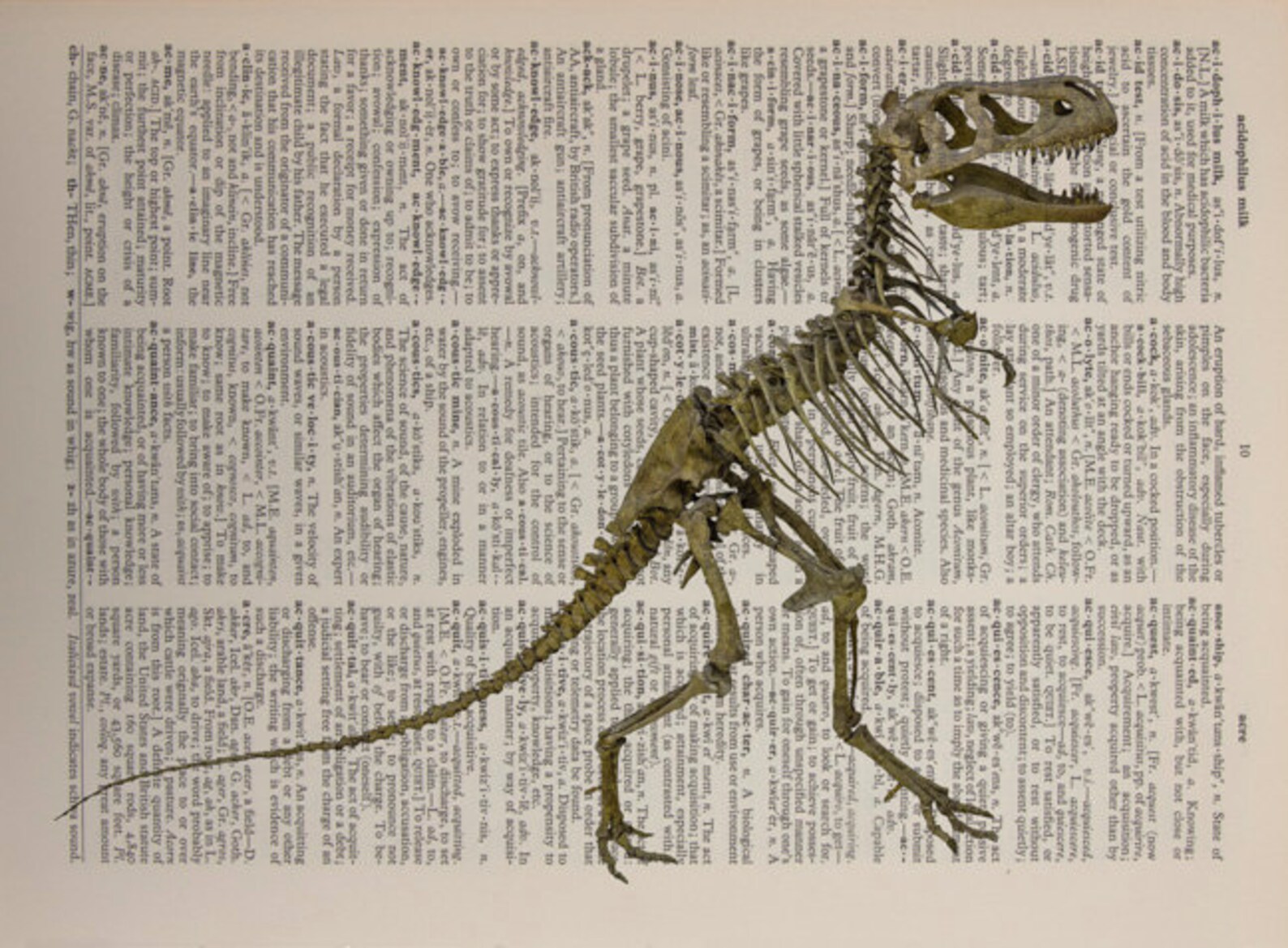 Tyrannosaurus Rex Skeleton Dictionary Art Print Dinosaur T - Etsy