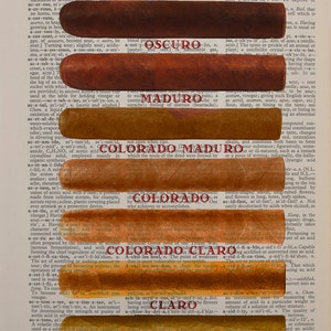 Cigar Color Chart Dictionary Art Print Smoke Cigar Wrapper - Etsy