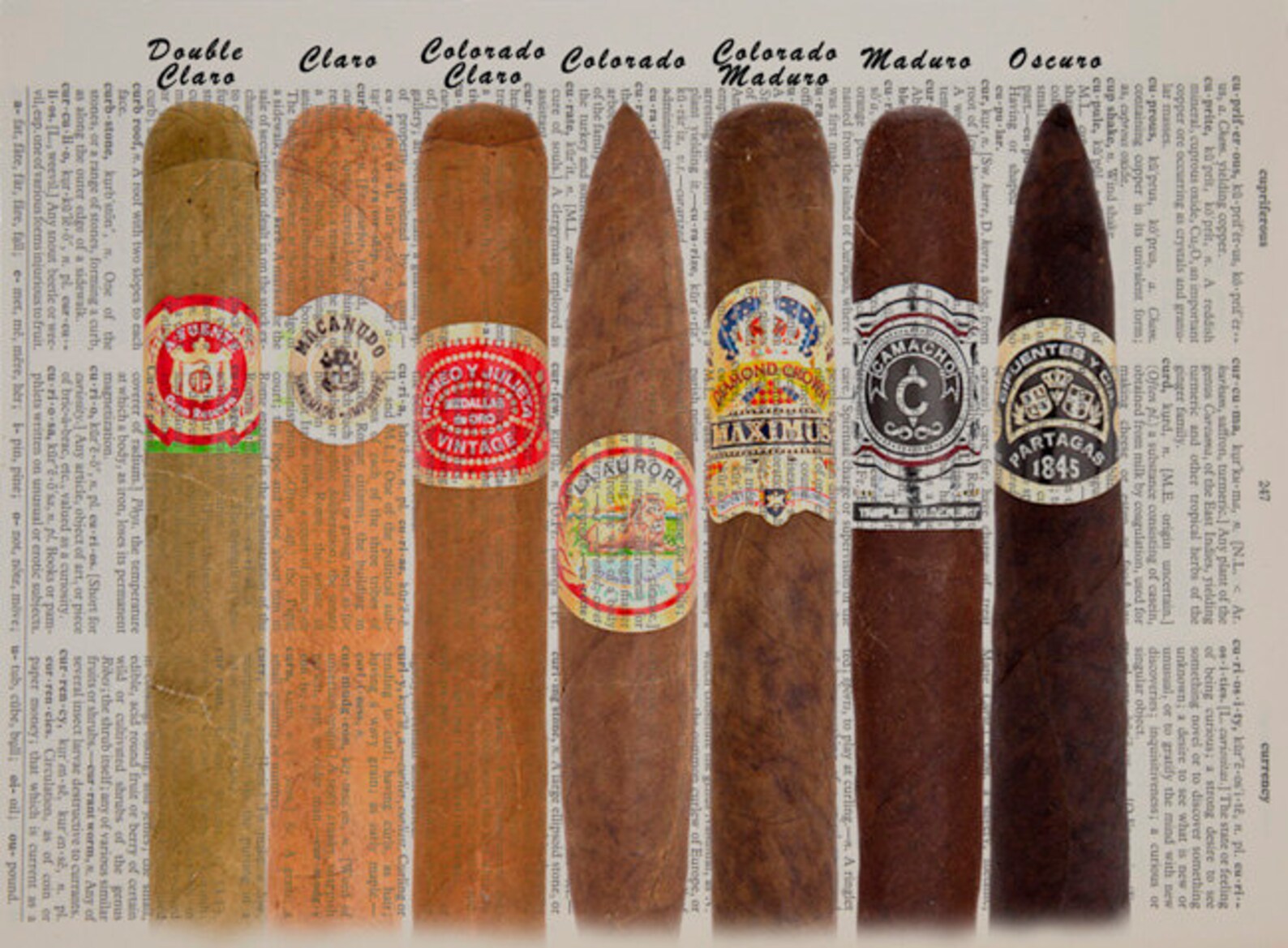 Cigar Dictionary Art Print Cigar Wrapper Chart Smoke Cigars - Etsy