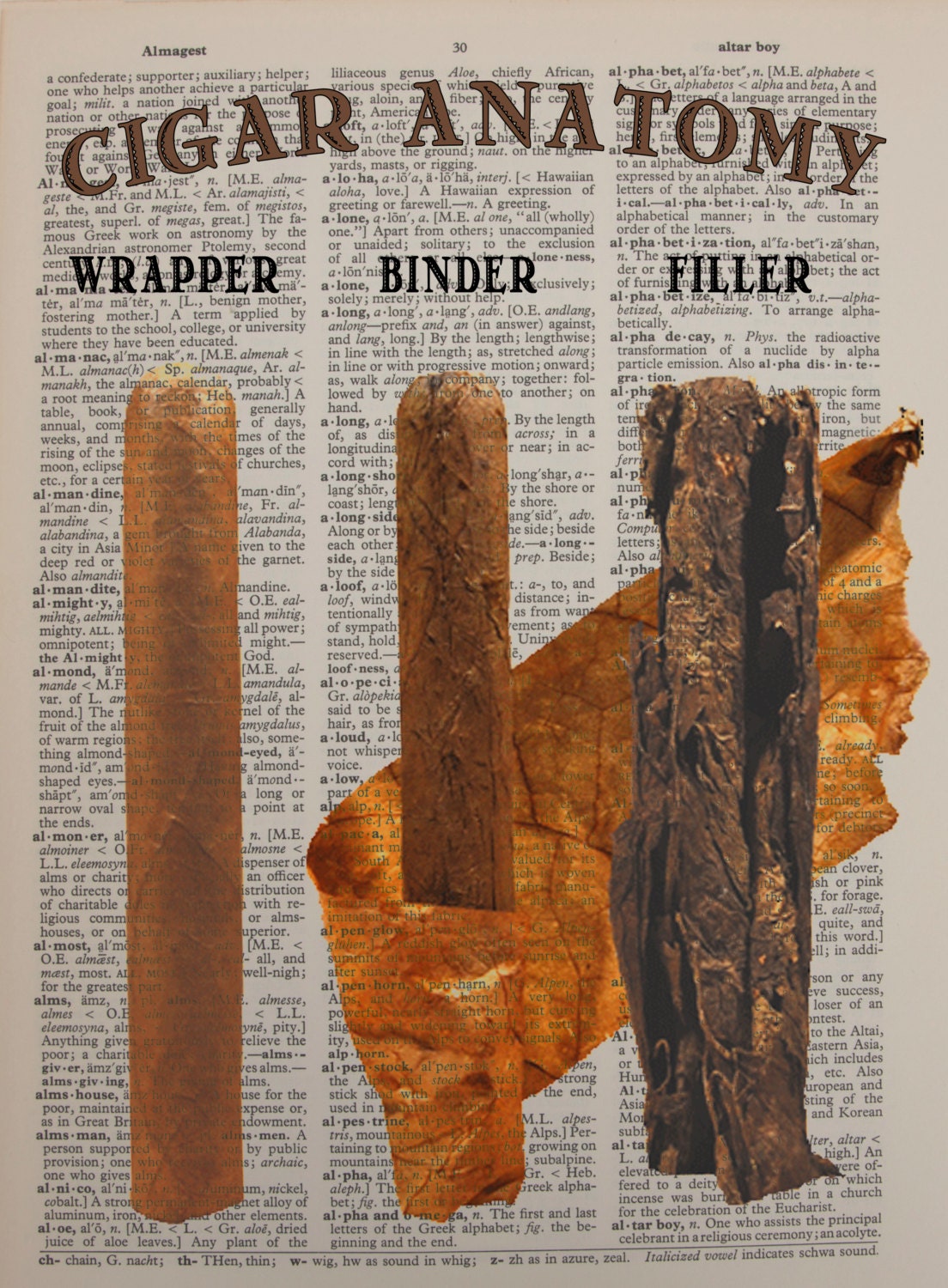 Cigar Anatomy Chart Dictionary Art Print Smoke Tobacco Wall | Etsy