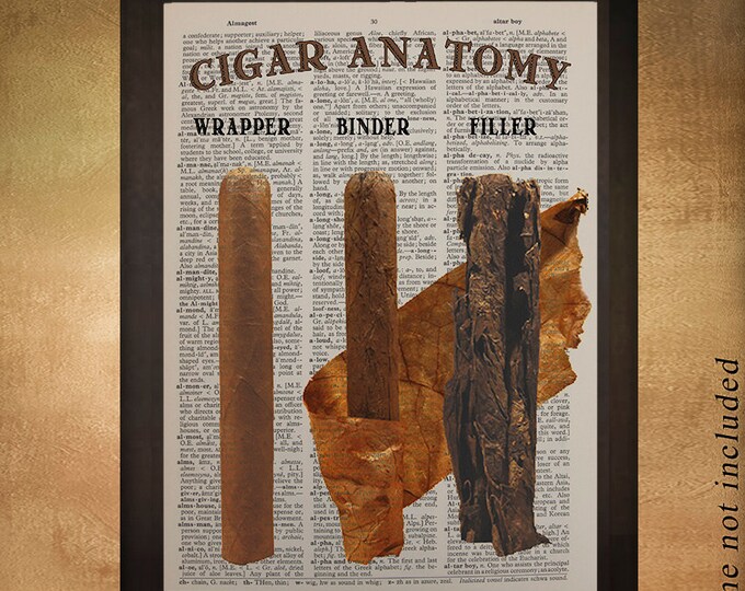 Cigar Anatomy Chart Dictionary Art Print Smoke Tobacco Wall Art Man ...