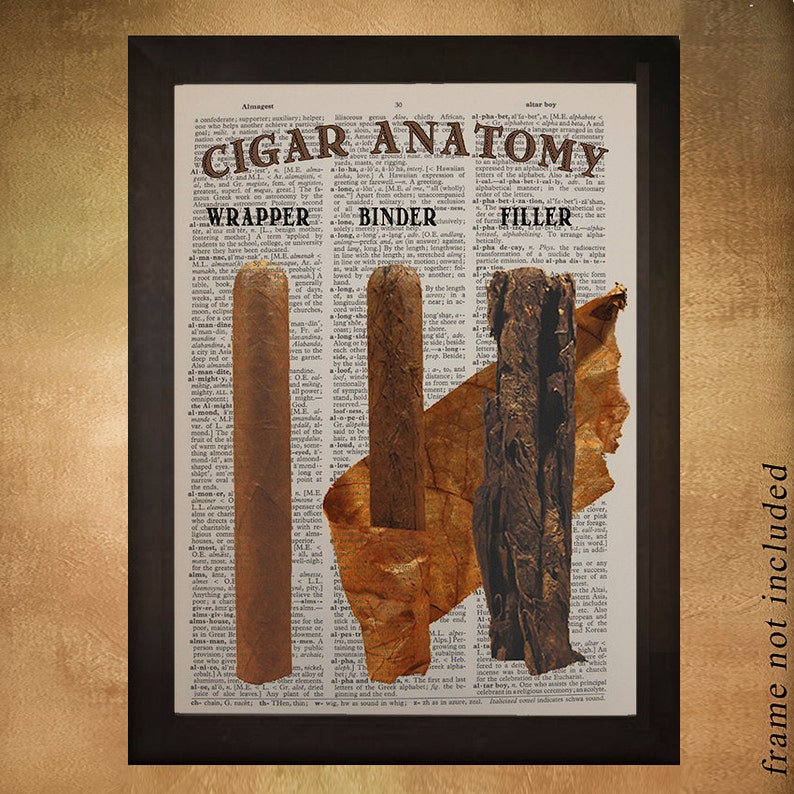 Cigar Anatomy Chart Dictionary Art Print Smoke Tobacco Wall | Etsy